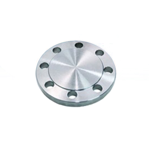 Flange 12" JIS 10K RF Blind SS316 - Fajar Benua Store